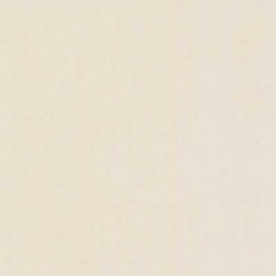 Daltile Bianco Ghiaccio Porcelain Tile